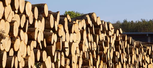 Bois d'œuvre, bois rond destiné au sciage, tranchage, déroulage ...